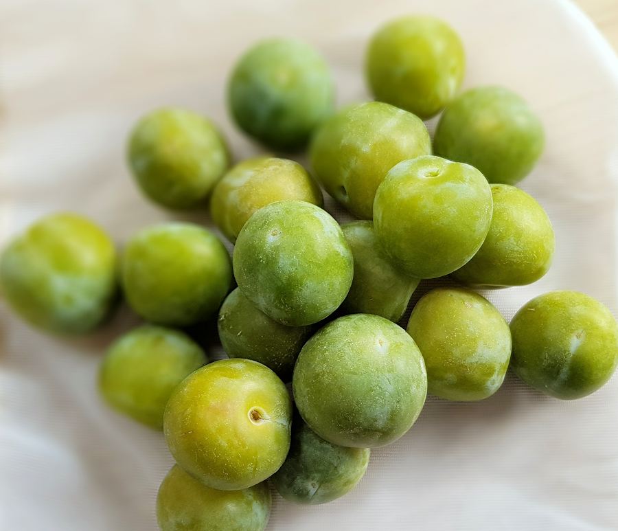Greengage Jelly | Recipe | Cuisine Fiend